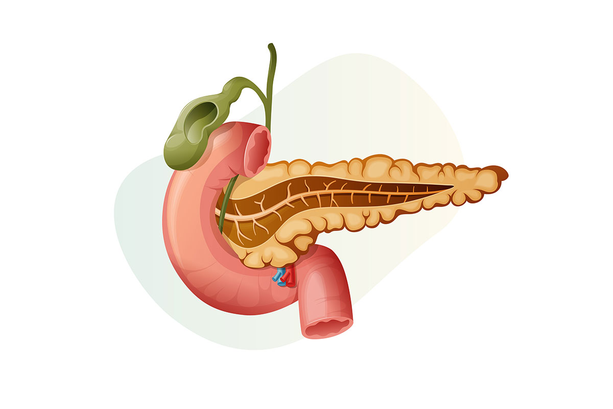 Gallbladder Surgery | BetterLife Surgery